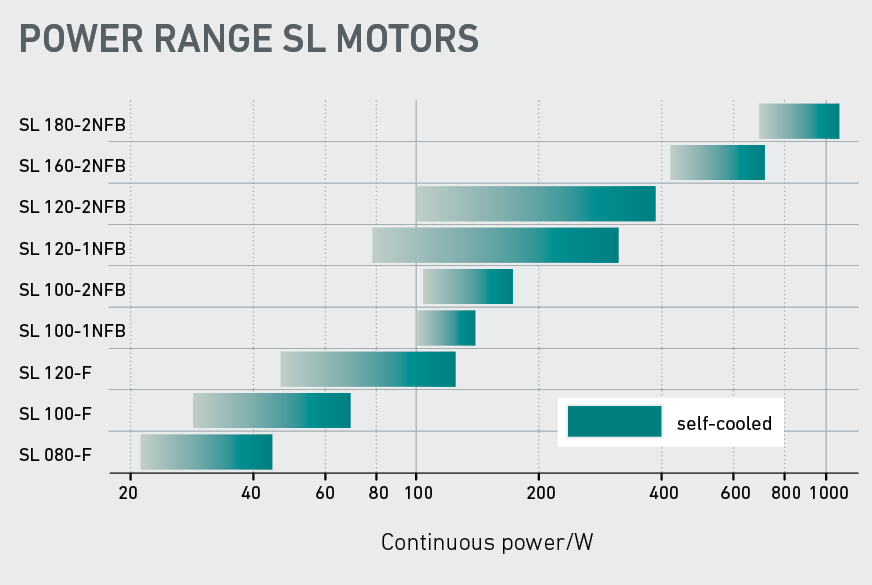 DC Motors - HEINZMANN Electric Motors